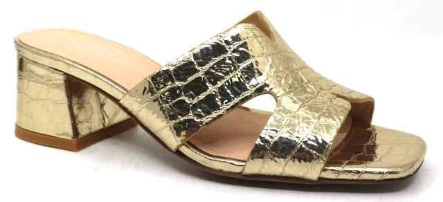 CORLAT-TO – Shiraz and Co.